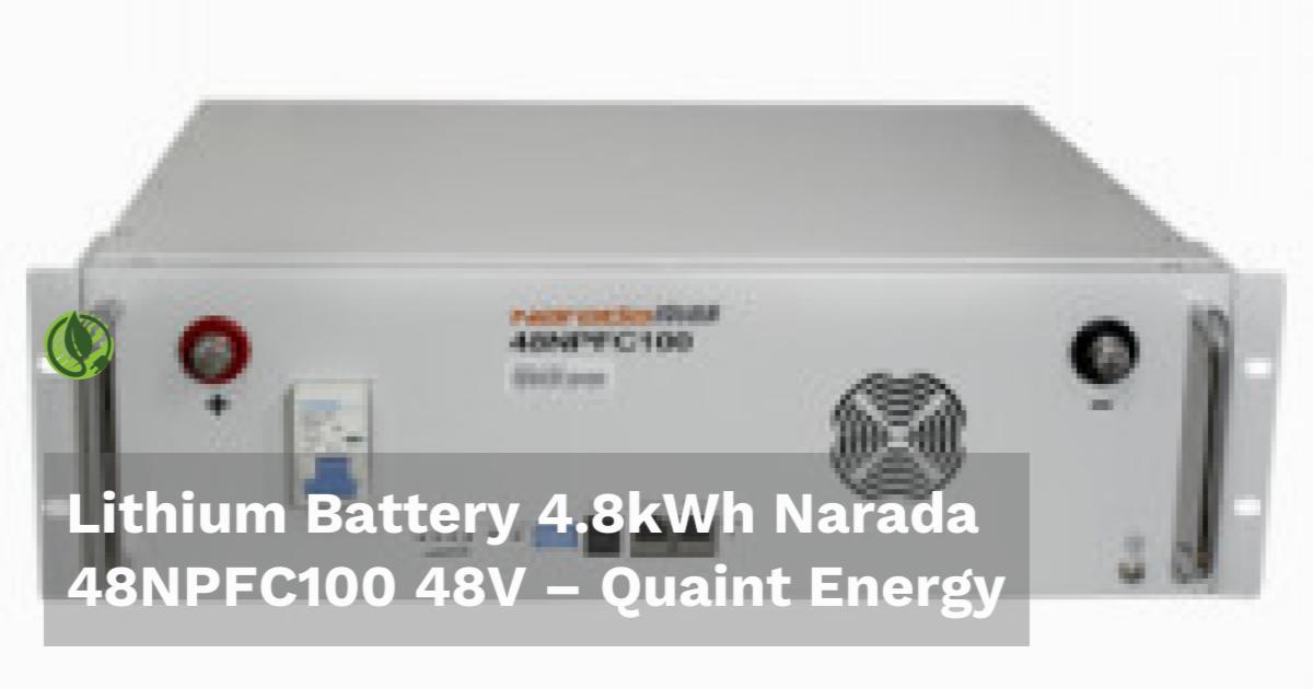 Lithium Battery 4.8kWh Narada 48NPFC100 48V – Powerpire Store