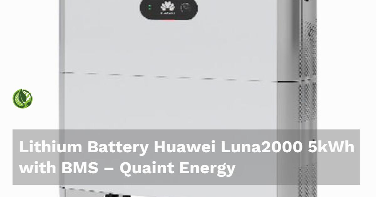 Lithium Battery Huawei Luna2000 5kWh with BMS – Powerpire Store